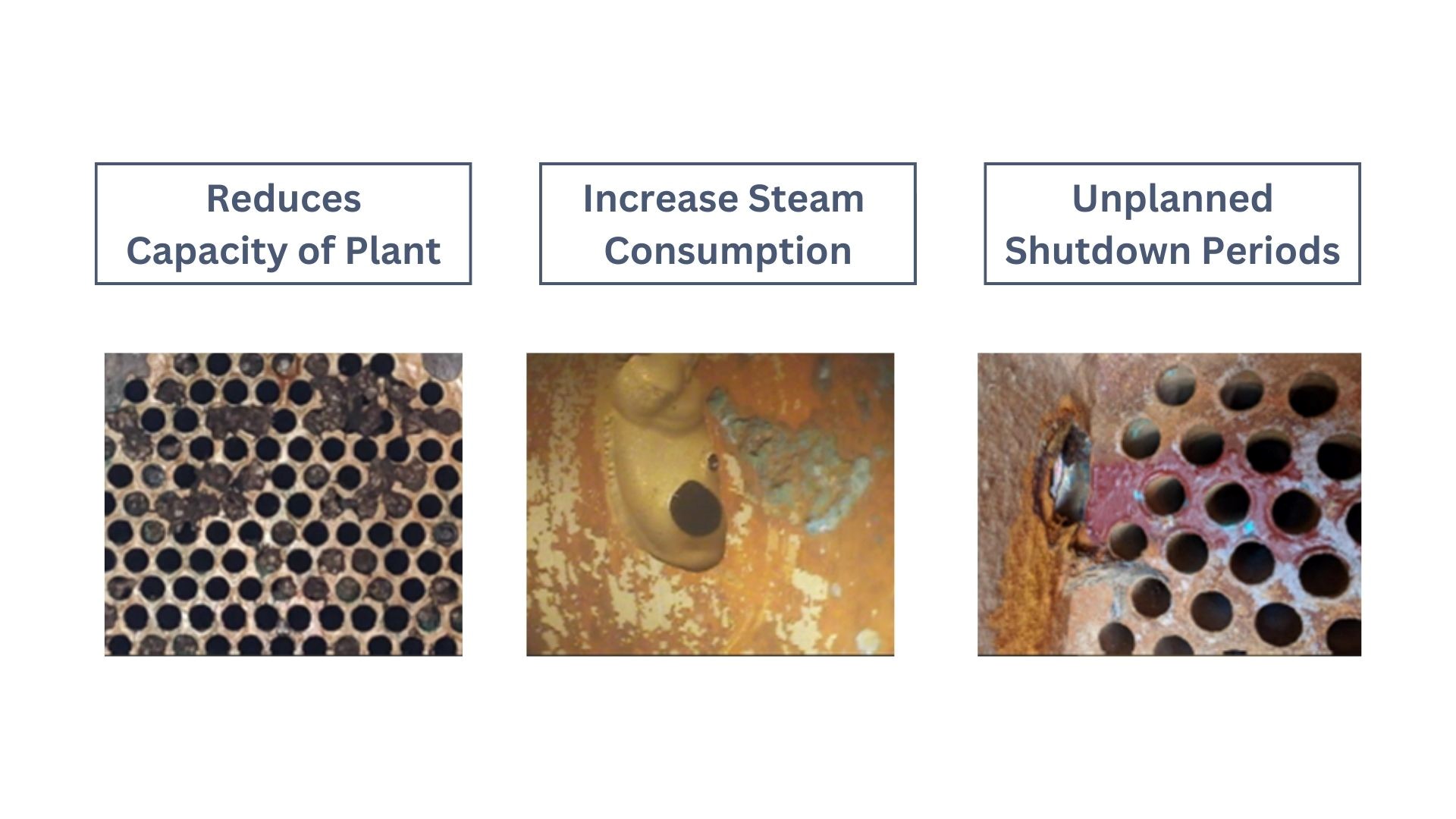 HeatX – Yantarharvest